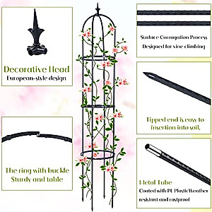 Trellis for Climbing Plants Outdoor, Deaunbr Garden Plant Support Tall Tower Obelisk Vine Cages Plastic Coated Rustproof Metal Pipe Supports for Outdoor Indoor, Potted Plants, Tomato, Rose - 2 Pack