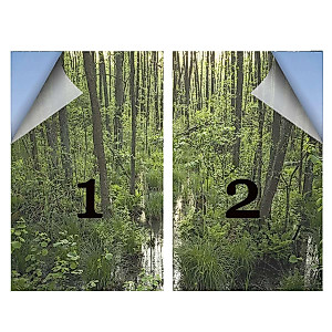 Forest Green Window Privacy Film Frosted Glass Static Cling Bathroom Door Covering Sun Blocking Window Sticker Home Decoration Forest Summer Forest Nature Themed Privacy Film 27.6Wx39.4L-inch x2 Pcs