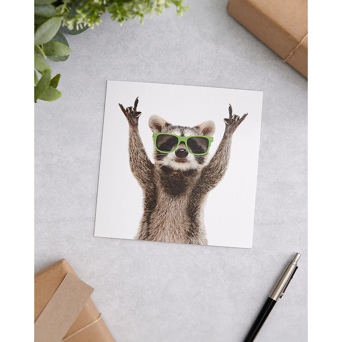 UK Greetings Birthday Card For Him/Male/Friend With Envelope - Raccoon Design