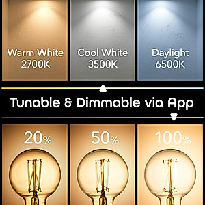 Geeni Smart Light Bulb - Alexa and Google Home Compatible, Tunable White LED Programmable and Dimmable Wifi Light Bulb, App Controlled (G25-2 Pack)