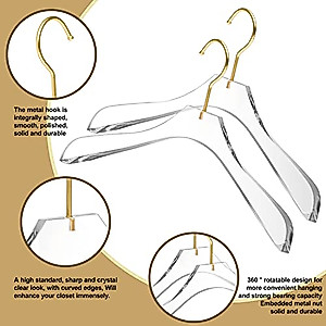 Quality Clear Acrylic Clothing Hangers – 2 Pack, Curved Stylish Clothes Hanger with Gold Hooks - Coat Hanger for Dress, Suit - Closet Organizer Adult Hangers - Heavy Duty Cloth Hangers (Gold Hook, 2)