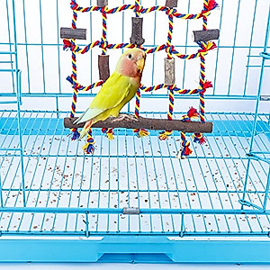 DQITJ 100 Pcs Large Size Bird Cage Liner Papers, Non-Woven Bird Cage Liners, Precut Absorbent Pet Cages Cushion (22.8 inch x 10.6 inch)