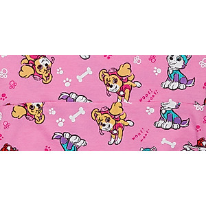 Paw Patrol Skye Marshall Everest Toddler Girls Skater Dress Pink 3T