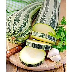 This is a Mix!!! 50+ Zucchini and Squash Mix Seeds 12 Varieties Non-GMO Delicious Grown in USA. Rare Super Profilic