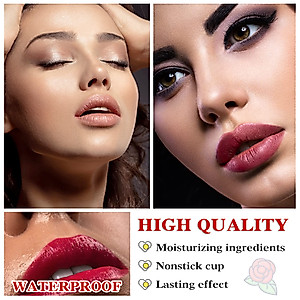 IONSGAKO 6 Colors Matte Nude Lipstick Set Liquid Lipstick Velvet Lip Gloss Lip Stain Long Lasting Waterproof Nude Pink Lipstick Set for Women Lip Makeup (SET-B)