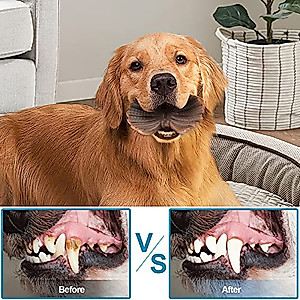 KXK Durable Dog Chew Toys for Aggressive Chewers Large Medium Small Breed, Tough Dog Toys for Large Medium Small Dog and Puppies Teeth Cleaning, Pet Toy with Durable Nylon