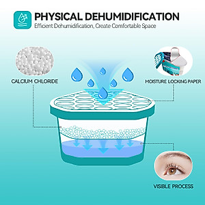 AlohaAir Moisture Absorber Boxes 500ml, Humidity Absorbers Attracts Extra Moisture from Bathroom, Closet, Car & Boats, Dehumidifier for Basement, Kitchen & Room.(Fragrance Free, 3 Packs)