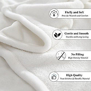 TOPTREE Boxer Dog Blanket Fuzzy Cozy Plush Cute Puppy Flannel Fleece Blanket Animal Brown Boxer Dog Gifts for Women Kids Adults (60x80 inches)