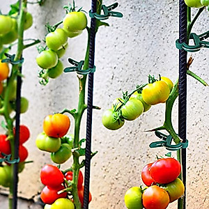 Gardzen 48 Pcs Garden Plant Clips, Plant Support Clips for Securing Plant Stems, Flowers or Climbing Vines to Tomato Cages, Trellis and Plant Support