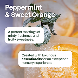 ATTITUDE Hydrating Hair Shampoo with Essential Oils, EWG Verified, Plant and Mineral-Based Ingredients, Vegan Beauty Products, Refillable Aluminum Bottle, Peppermint & Sweet Orange, 16 Fl Oz