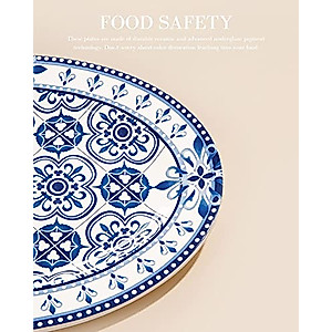 Sonemone 14 inch Blue Serving Platter, Ceramic Oval Serving Plates for Entertaining Party Restaurant, Turkey, Dishwasher & Microwave Safe