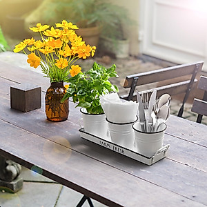 DAYYET Farmhouse Herb Garden Planter Indoor Window Planter Set with Tray, White Windowsill Herb Planter Pots with Drainage for Outdoor or Indoor Planters, Set of 3