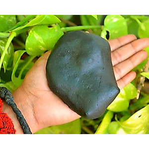 Shiva Lingam Shop 3.5"X3"Shaligram, Religious Gifts, Sudarshan Saligram Stone,Natural Shaligram Fossilized Shell, Iconic Symbol of The God Vishnu -I-6026