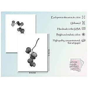 Black And White Wall Art - Eucalyptus Leaves - Botanical Art Prints - Minimalist Pictures - Set of 3-8x10 - Unframed