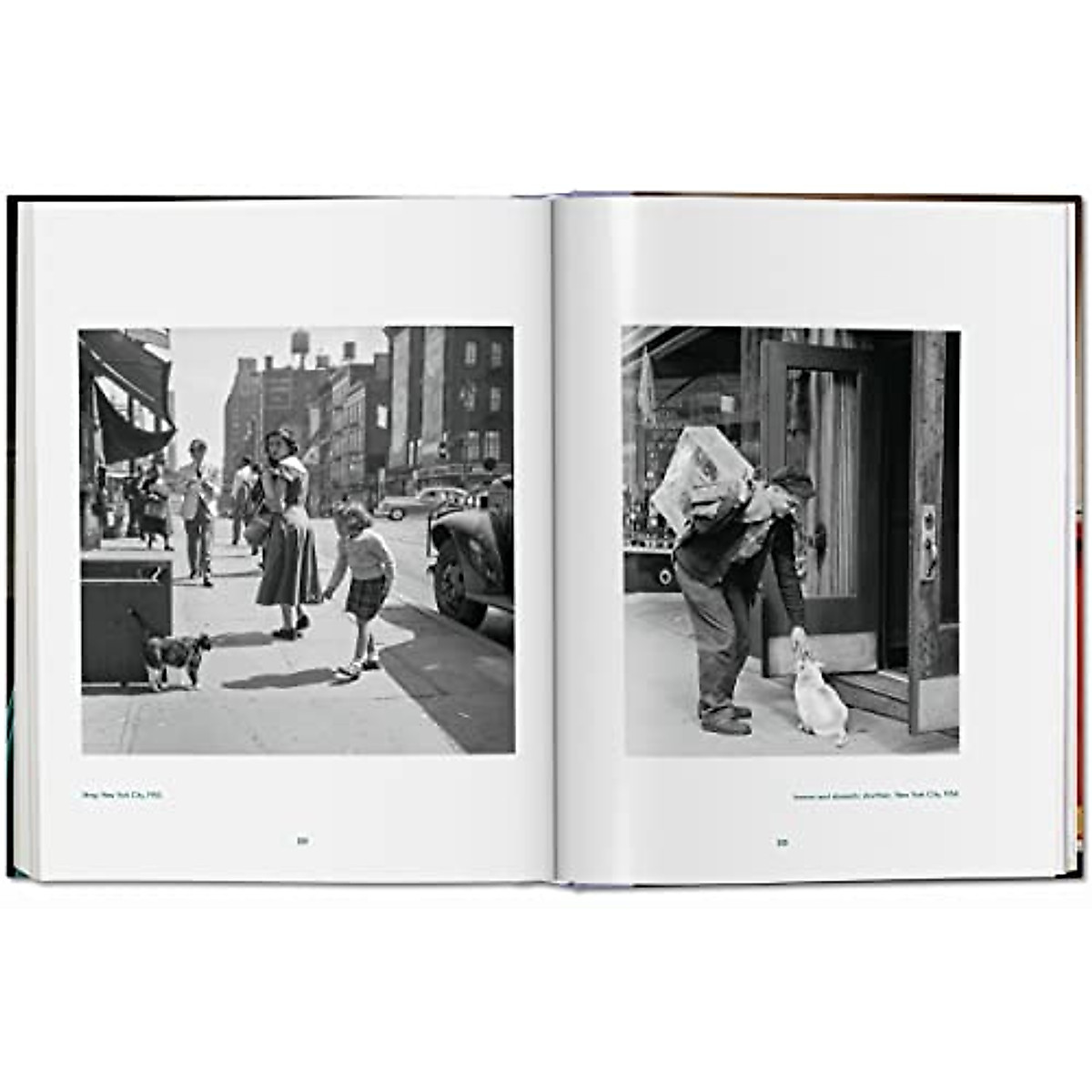 Cats: Photographs 1942 - 2018