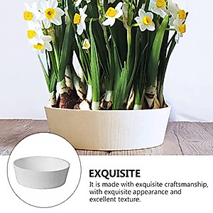 1pc with Pot White All Containers Container Nursery Flowers Garden Lily Gardening Planter for Water House Fresh Plants Indoor Pots Flower Round or Bowl Drainage