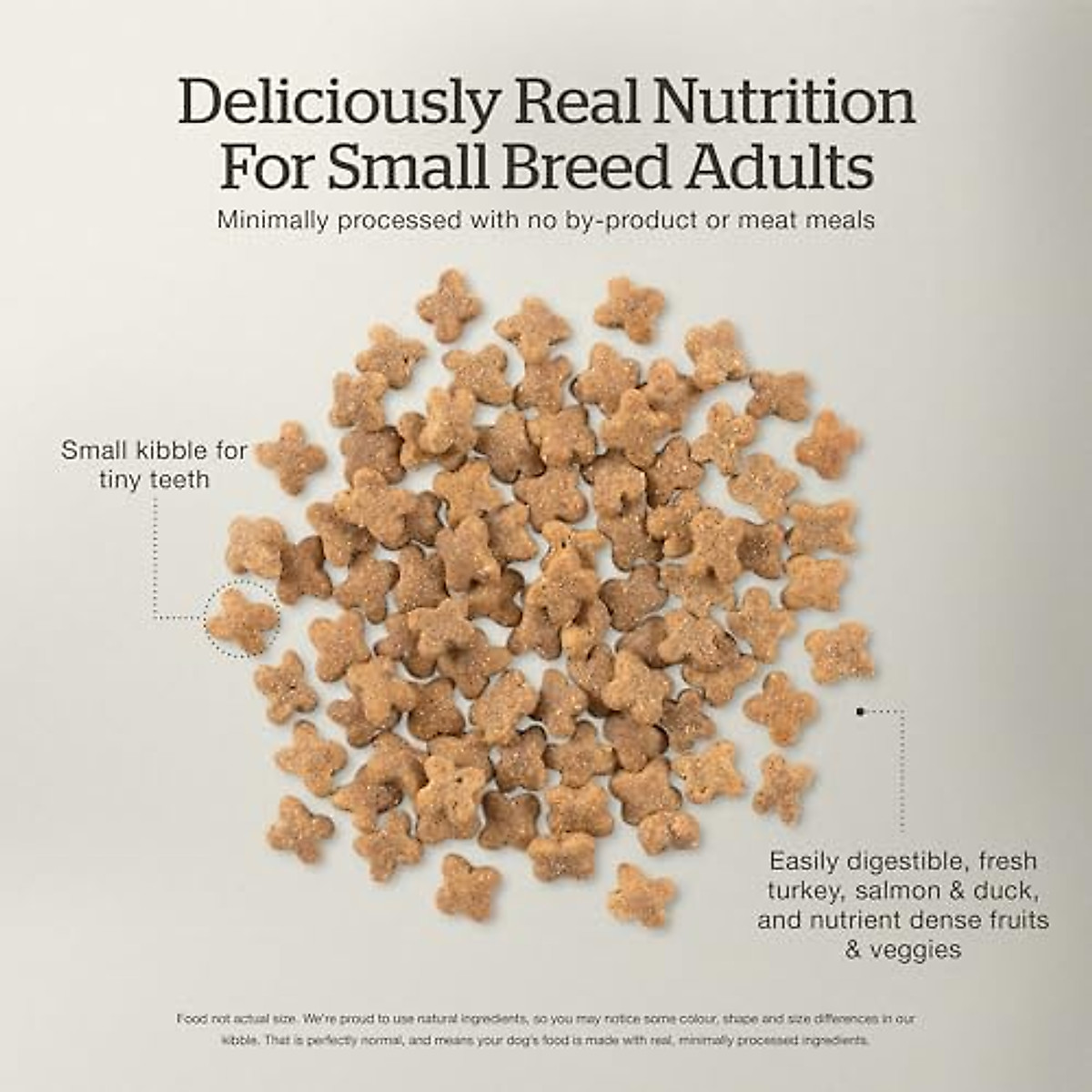 Now Fresh Grain-Free, Dry Dog Food, Small Breed Kibble, Real Meat and Fish, Turkey, Salmon and Duck Adult Recipe, 6 lb Bag