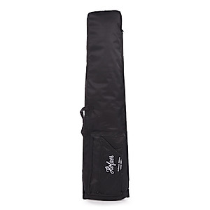 Hofner, 4-String Electric Upright Bass, Brown (HOF-HCT-SHVB-SB-O)