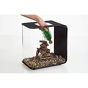 biOrb 46083.0 Feather Fern Set Small Green Aquariums