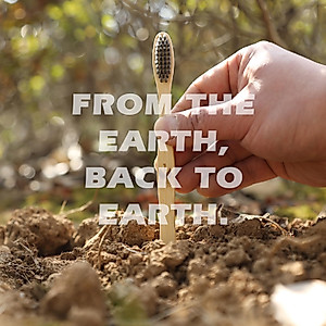 Isshah Biodegradable Eco-Friendly Natural Bamboo Charcoal Toothbrushes, FSC Certified and PETA Approved - 12 Count