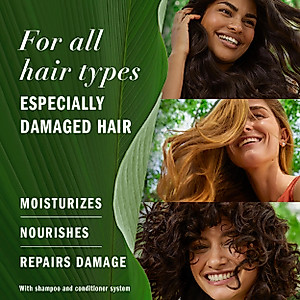 Herbal Essences Bio Renew Repair Argan OIl Hair Conditioner - 20.2 fl oz
