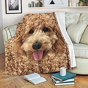 3D Cute Goldendoodle Doodle Funny Dog Mom Gift Premium Quality Sherpa Fleece Throw Blanket 3D Printed Warm Fluffy Cozy Soft Tv Bed Couch Comfy Microfiber Velvet Plush