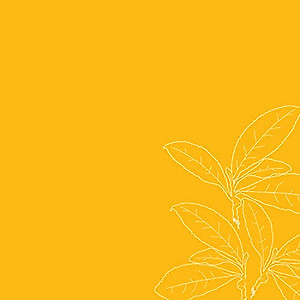 SheaMoisture Low Porosity Weightless Hydrating Conditioner For Moisture Resistant, Curly, Coily Hair Lightweight Hair Conditioner 13 fl oz