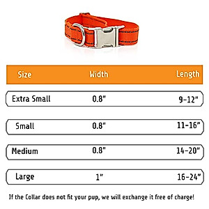 PAWBLEFY Personalized Dog Collars - Reflective Nylon Collar Customized with Name and Phone Number - Adjustable Sizes for Small Dogs, Medium, and Large - 4 Colors for Male Female boy Girl Puppies