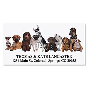 Colorful Images Bow Wow Dog Return Address Mailing Labels, Personalize with Name & Addresses, Set of 144 Self Adhesive, Easy Peel Flat Label Sheets, 1⅛” x 2¼”, 1 Pet Design