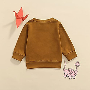 Fernvia Newborn Baby Boys Girls Toddler Sweatshirt Pullover Long Sleeve Top Shirt Letter Sun Printed Cotton Infant Jumper Tops (B Khaki, 12-18 Months)