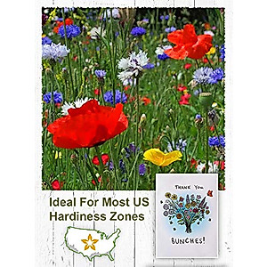 American Meadows Wildflower Seed Packets "Thank You Bunches" Party Favors (Pack of 20) - Express Gratitude with a Wildflower Seed Mix, Great Addition or Alternative to Thank You Cards