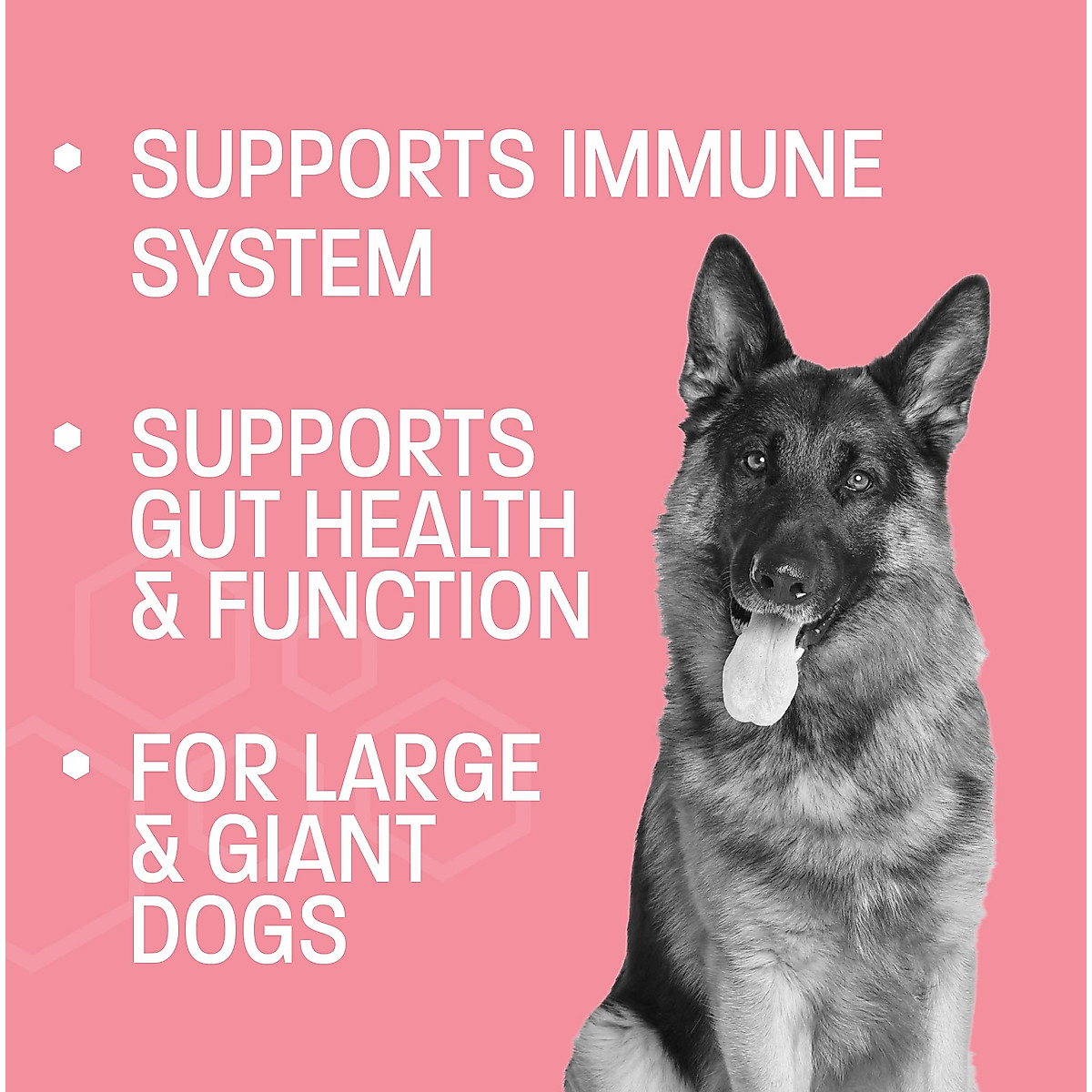 Pet Health Pros Dog Probiotic Chews for Dogs - Support Healthy Digestion Dog Probiotics and Digestive Enzymes for Gut Health for Dogs - for Traveling, Kenneling and Training - Large/Giant Dog - 30 ct