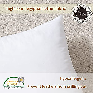 YSTHER Down Feather Throw Pillow Inserts 20x20 Set of 2 Square Form Sham Stuffer Premium Hypoallergenic Cotton Lumbar White Decorative Sofa Cushion Couch