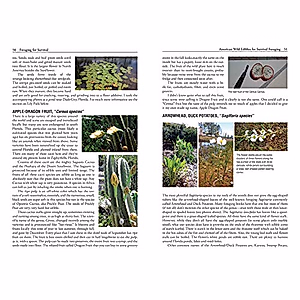 Foraging for Survival: Edible Wild Plants of North America