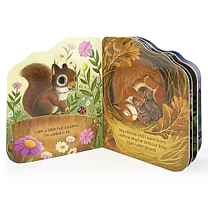 A Little Squirrel - An Animal-Shaped Children's Board Book, Ages 1-5