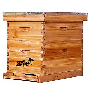 Beehive 8 Frame Bee Hives and Supplies Starter Kit, Bee Hive for Beginner, Honey Bee Hives Includes 1 Deep Bee Boxes, 1 Bee Hive Super with Beehive Frames and Foundation