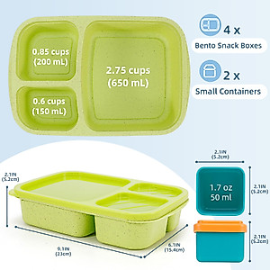 Caperci Bento Lunch Box Containers for Adults & Kids - 3-Compartment Reusable Meal Prep Containers with 2Pc Sauce Containers for School, Work, Travel, Wheat Straw, Set of 4 (Jewel Brights)