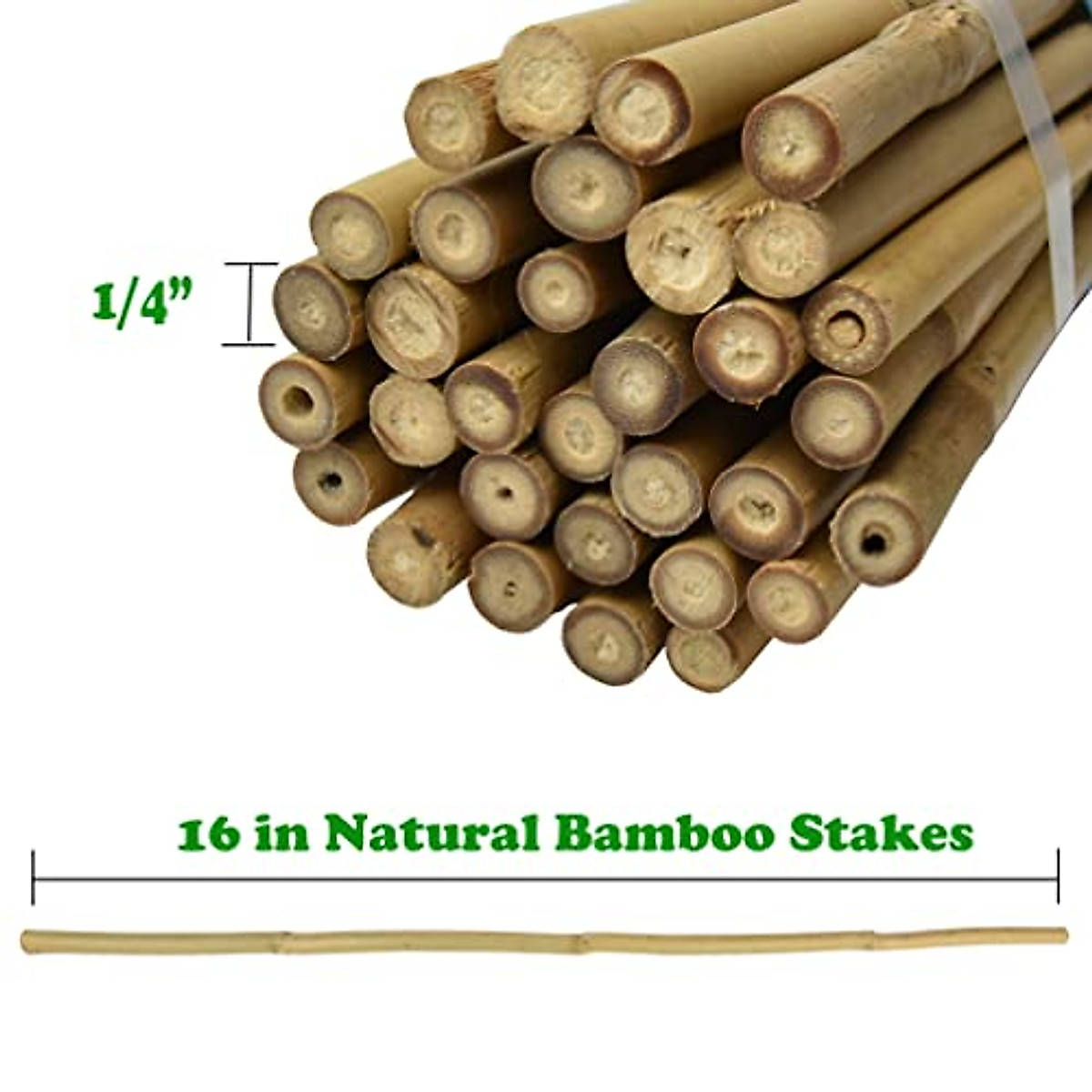 Jollybower 16 in Bamboo Stakes, Plant Stakes, Natural Garden Stakes for Tomato, Bean, Flowers,Trees Potted and Climbing Plant Support-Pack of 30 Bamboo Stick, Diameter of 1/4”
