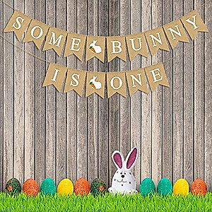 Rainlemon Jute Burlap Some Bunny is One Banner Spring Boy Girl 1st Birthday Party Decoration Supply