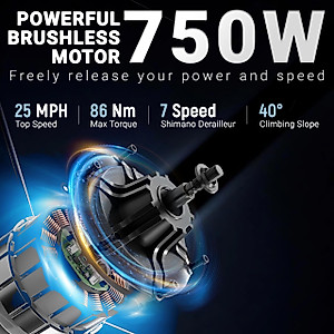 Himiway Upgraded Zebra D5 Step Over + Zebra D5 Step Thru