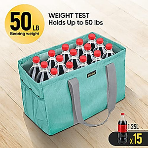BALEINE Soft 9 Gallon Extra Large Utility Tote, Foldable Reusable Storage Bag (Sea Green)