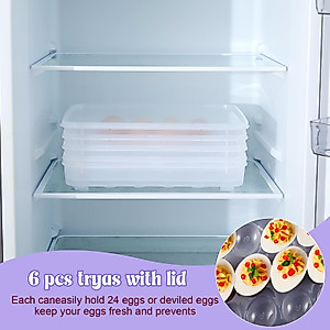 Maxcheck 6 Pack 144 Count Deviled Egg Containers with Lid and 3 Set Deviled Egg Injector Piping Tool Clear Plastic Organizer for Refrigerator Stackable Dispenser Carrier Tray for Easter Thanksgiving