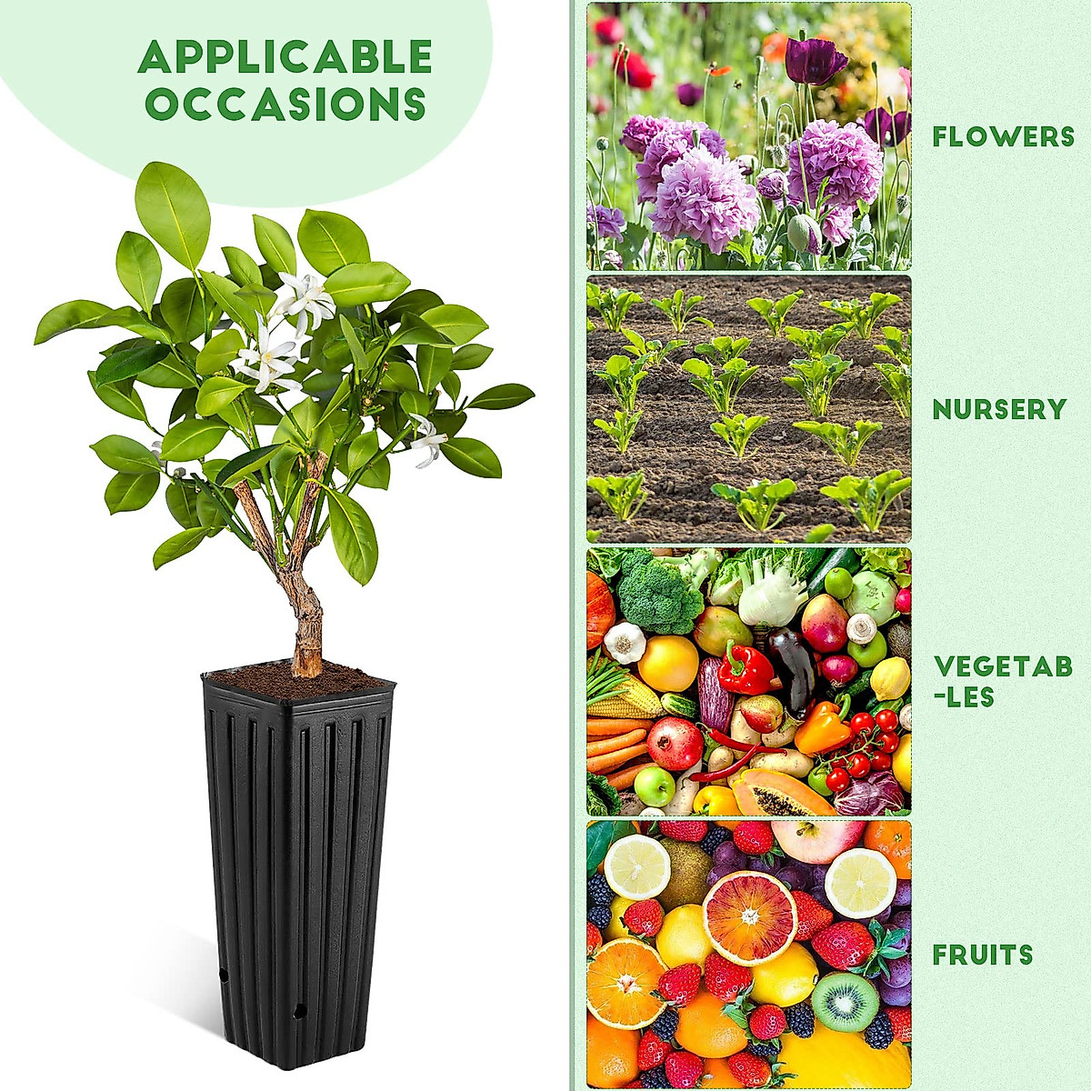 DOITOOL 50Pcs Plastic Nursery Bags for Plants, Tall Seedling Flower Plant Container Starting Pots, Flower Pot Container Bonsai Holder Succulent Planter with Drainage for Plant Growing (Black)