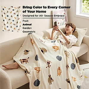 Bedsure Cat Throw Blanket with a Pillow Cover - Aesthetic Cute Fleece Blanket for Girls Boys Teens Kids as a Gift, Soft Cozy Animal Pattern Blankets for Couch Sofa Bed Camping