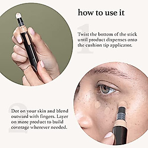 Julep Cushion Complexion Multitasking Skin Perfecter - 100 Alabaster - Concealer, Foundation, Brightener, Contour Stick - Infused with Turmeric - Buildable Medium-to-Full Coverage - Natural Finish