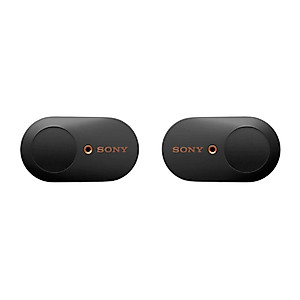 Sony WF-1000XM3 True Wireless Noise-Canceling Earbud Headphones (Black) SRS-XB21 Portable Wireless Speaker (2 Items)