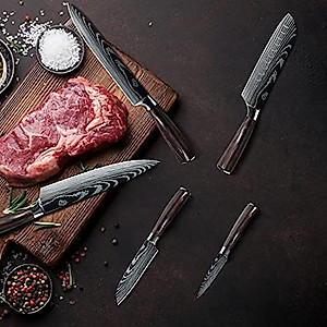 Dfito Kitchen Chef Knife Sets, 3.5-8 Inch Set Boxed Knives 440A Stainless Steel Ultra Sharp Japanese Knives, 5 Pieces Knife Sets for Professional Chefs