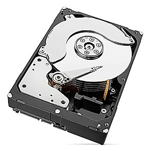 Seagate SkyHawk 10TB Surveillance Hard Drive - SATA 6Gb/s 256MB Cache 3.5-Inch Internal Drive (ST10000VX0004)