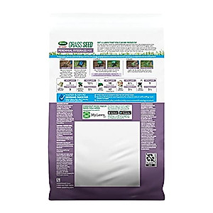 Scotts Turf Builder Grass Seed Perennial Ryegrass Mix with Fertilizer and Soil Improver, Establishes Quickly, 2.4 lbs.