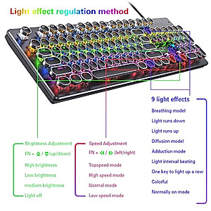 HAMIO Mechanical Gaming Keyboard with 9 RGB LED Rainbow Backlit 100% Anti-ghosting Keyboard with Blue Switches for Windows PC/MAC Games (Back（Square keycap）)